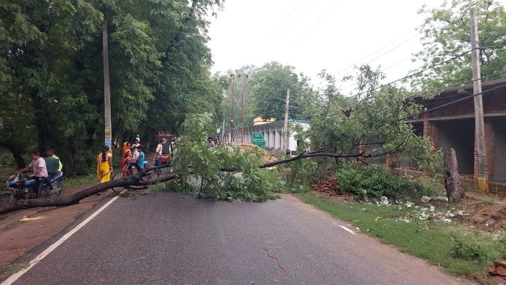 Due to rain in Rajauli, a tree fell in the middle of the road, causing ...