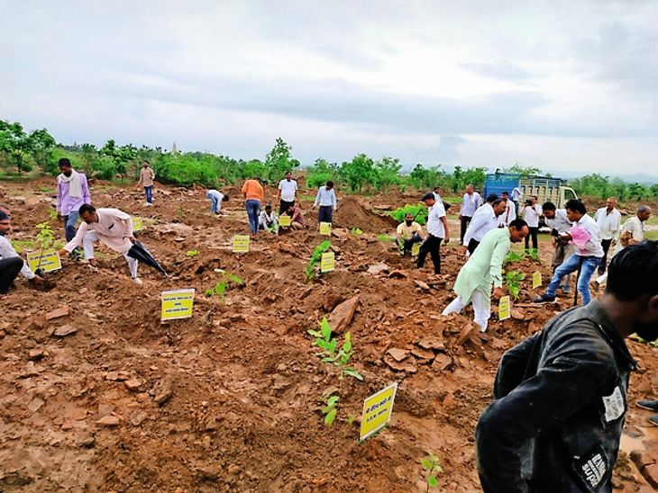 Make plantation a mass movement: Asthana | पौधरोपण को जन आंदोलन बनाएं ...