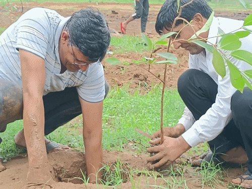 Tree plantation campaign launched in Dabla | डाबला में पौधारोपण की चलाई ...