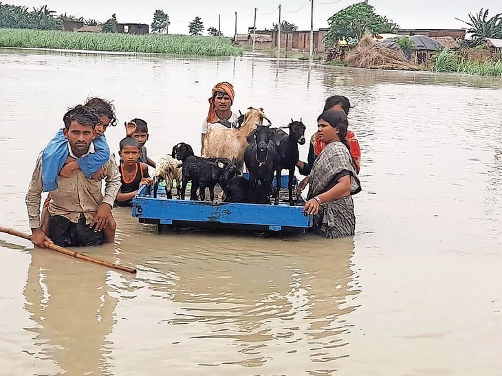 The dam of Sikta river and Triveni canal broke, the fields of three ...