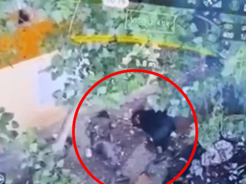 Kulgam Encounter | Jammu Kashmir Kulgam Terrorist Encounter Video Update | जम्मू-कश्मीर के ...