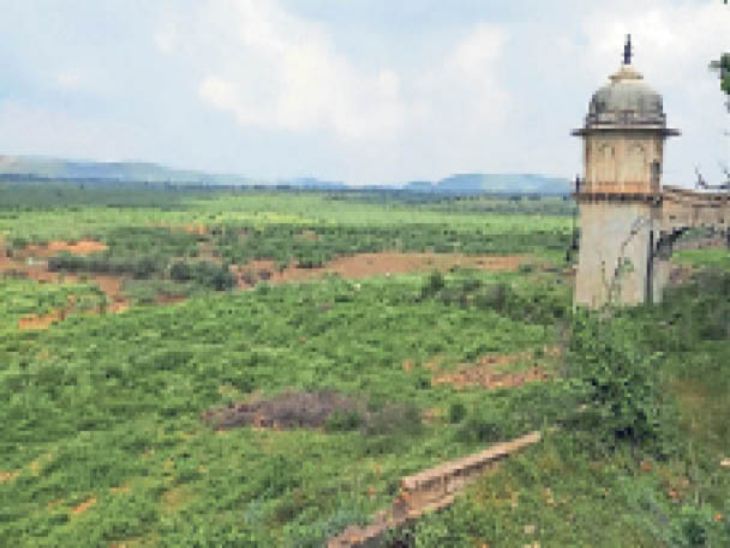 So far in the monsoon, the maximum 55.50% water has come in the dams of ...