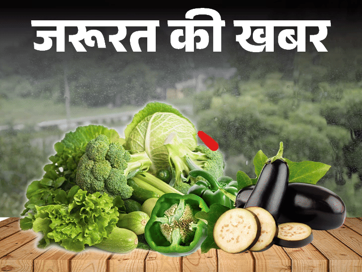 Monsoon Diet; Rainy Season Vegetable List (Karela) | Baigan Mushroom