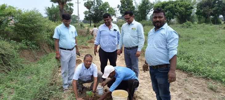 Plantation in Savaiyatand, Dhamani and Rajauli West | सवैयाटांड़, धमनी ...