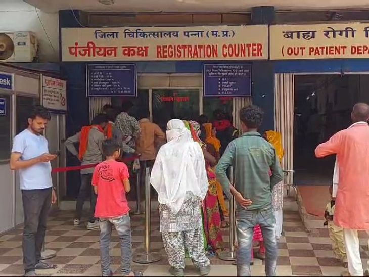 93 children died in two months in Panna district | पन्ना जिले में दो ...