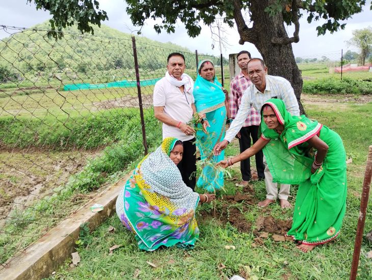 Pledged to plant trees and protect them | पौधे लगाकर उन्हें संरक्षित ...