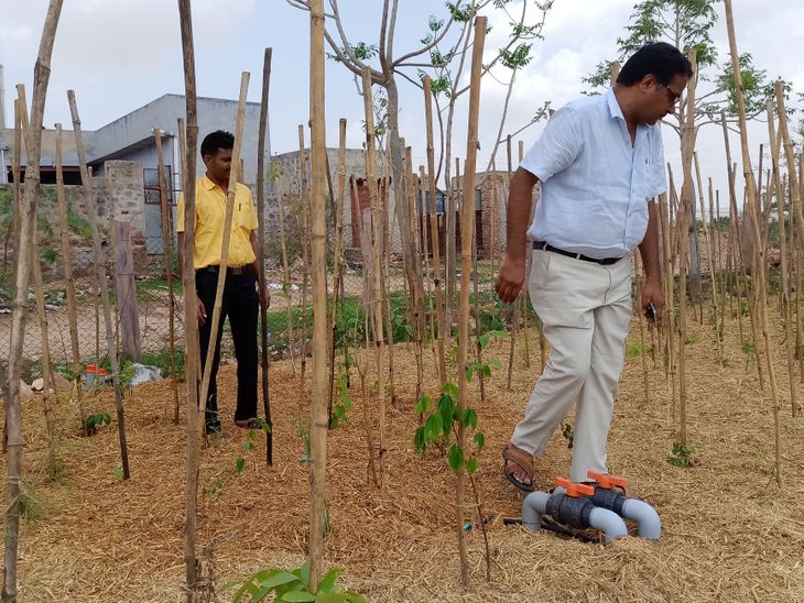 Plantation using Miyawaki method in Ladnun | लाडनूं में मियावाकी विधि ...