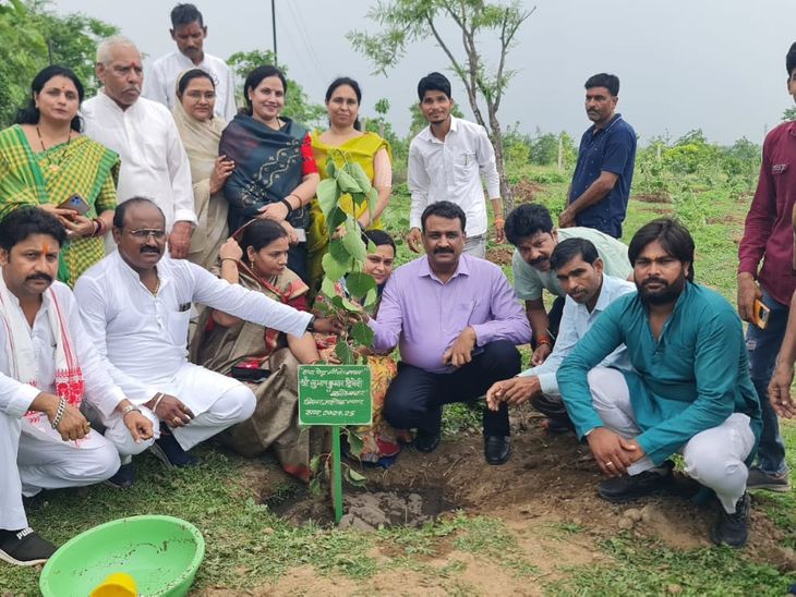 Plantation done in 'One tree in the name of mother' campaign: Nagar ...