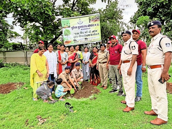 Tree guards will be installed to protect 160 plants planted in the ...