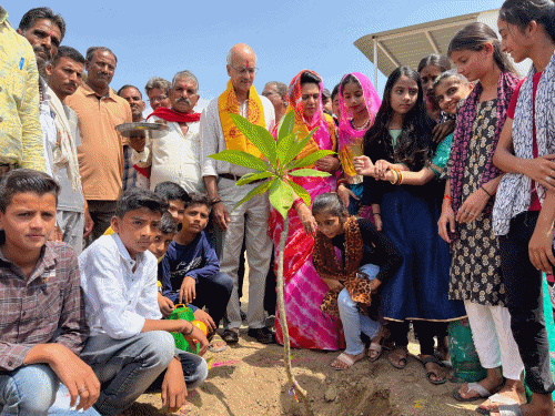 MP and MLA planted trees in Nathdwara | नाथद्वारा में सांसद और विधायक ...