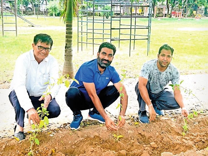 Ornamental plants planted in Sector-4 park | सेक्टर-4 के पार्क में लगाए ...