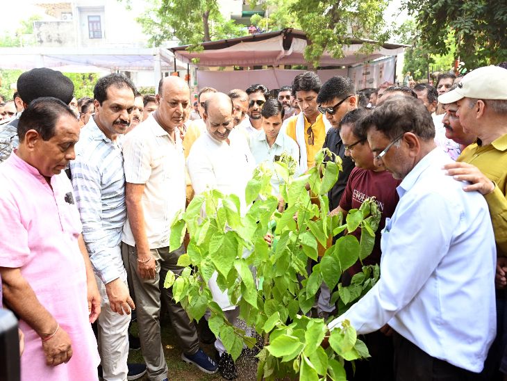 Rajasthan kota Lok Sabha Speaker Om Birla planted a tree in Vallabhbari ...