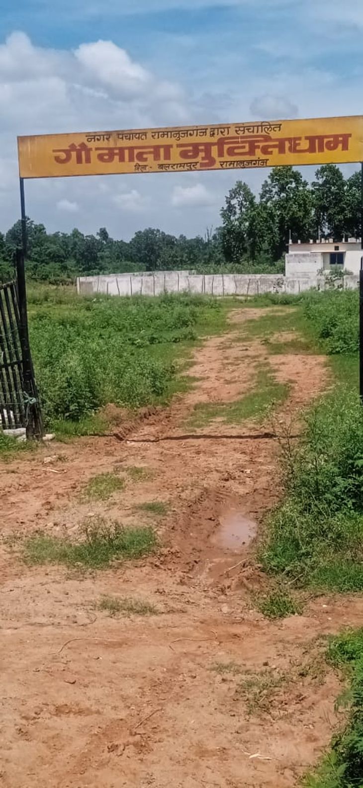 The state's first Gau Mata Muktidham in Ramanujganj | रामानुजगंज में ...