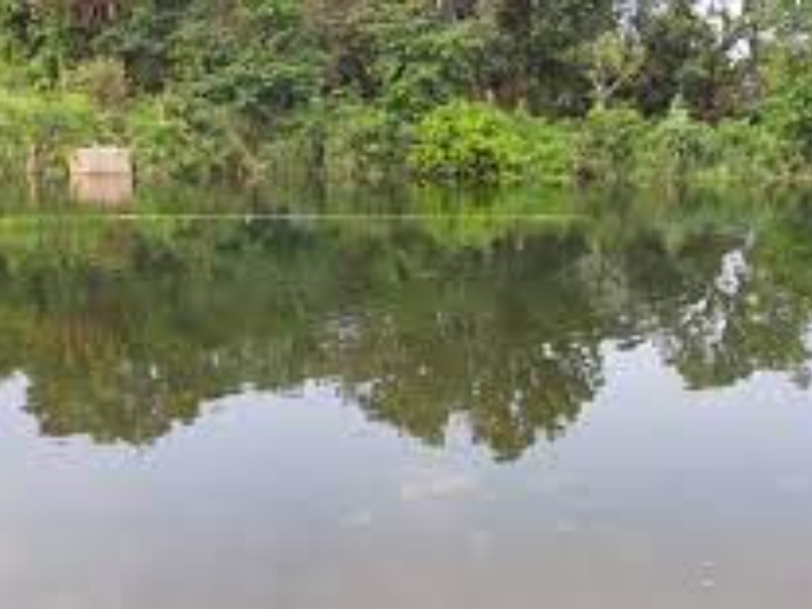 A young man died after drowning in the Bihar river | बीहर नदी में डूबने ...