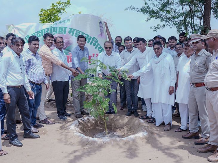 The collector planted trees in Sevada village | कलेक्टर ने सेवाड़ा ...