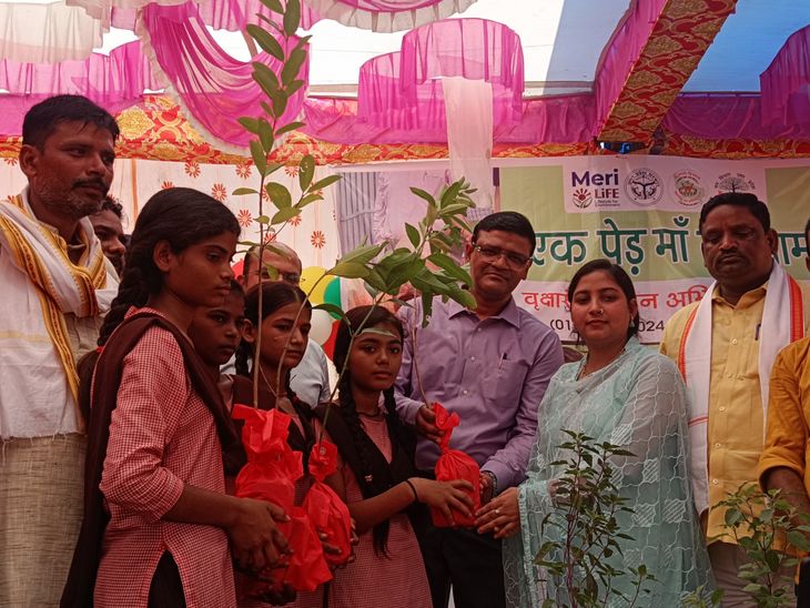 One tree in the name of mother program started in Adar-Pakar | अड़ार ...