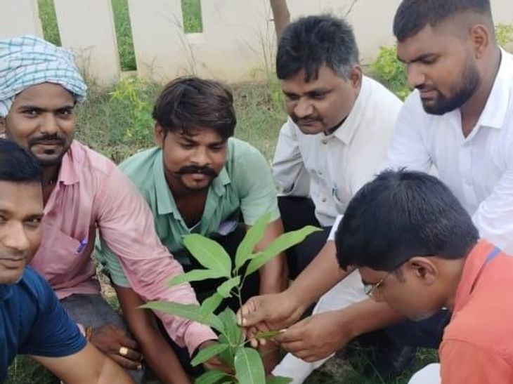 Plants planted under the One Tree for Mother campaign | एक-पेड़ मां के ...