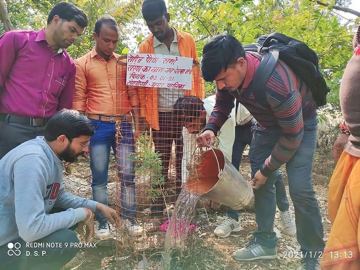 Hariyali Mahotsav program celebrated in Anandpur