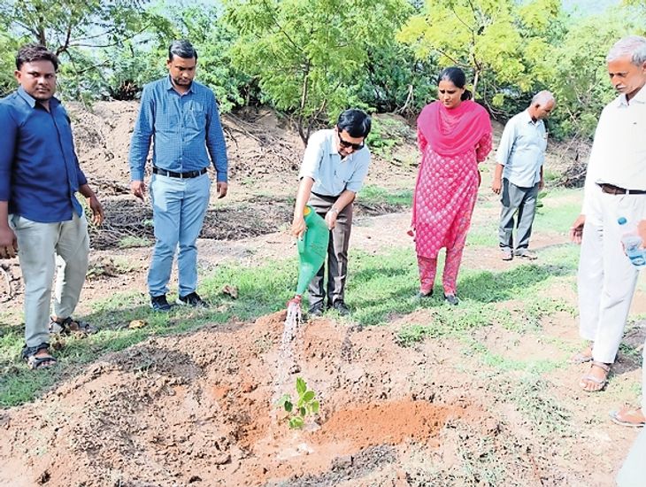 The collector planted trees and also appealed to maintain environmental ...