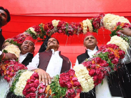 Ayodhya MP Awadhesh Prasad Popularity; Samajwadi Party | Akhilesh Yadav ...