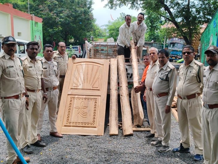 Forest department's action in Begamganj | बेगमगंज में वन विभाग की ...