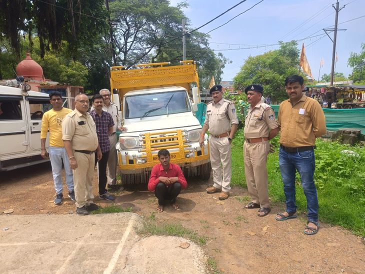 The accused of stealing buffalo in Tyonda was arrested | त्योंदा में ...