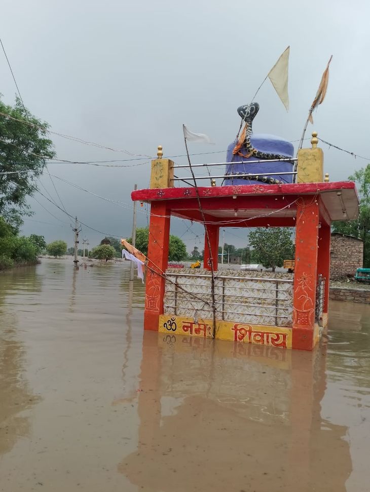 Heavy rains filled the fields, farmers busy sowing paddy | जोरदार बारिश ...