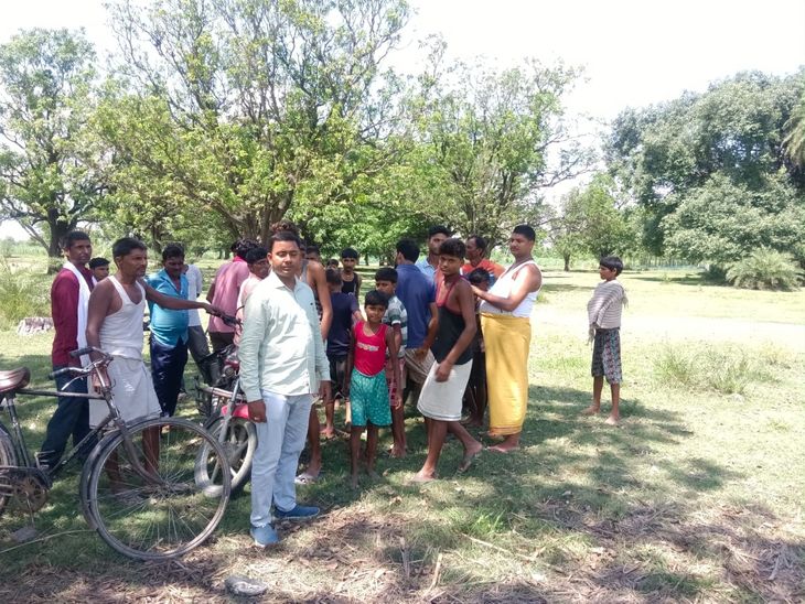Villagers panic after seeing wild animals in the fields: | खेतों में ...