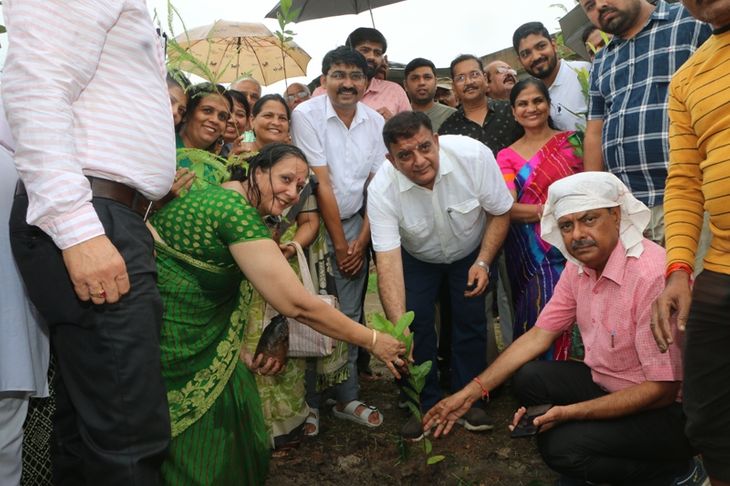 Plant trees and take care of them: Collector | पौधे रोपकर उनकी देखरेख ...