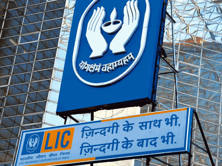 LIC Reliance Market Cap; Top 10 Market Capitalization 2024 Update | TCS ...