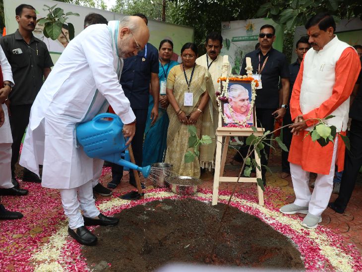PM Modi praised Indore's tree plantation campaign; Kailash Vijayvargiya ...