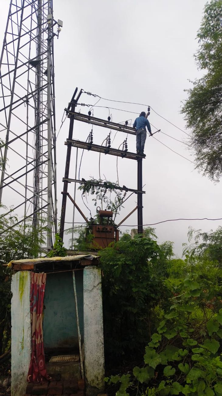 Tree branches were cut from above the transformer | ट्रांसफार्मर के ऊपर ...