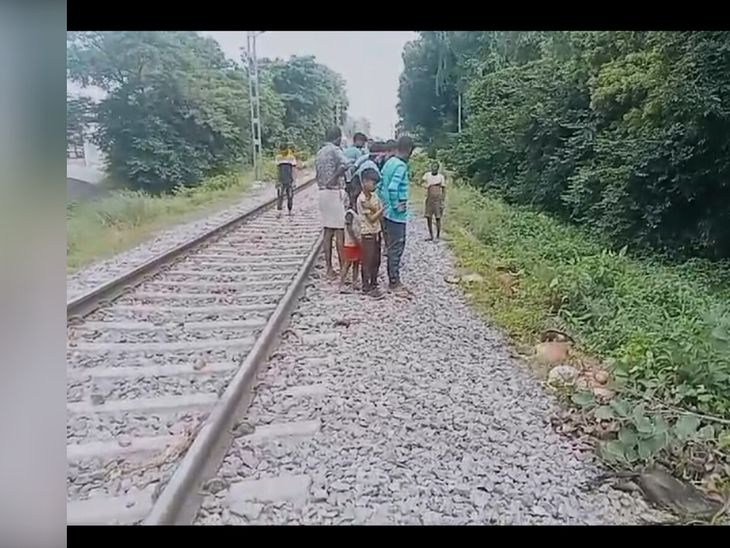 12 goats were hit by a train in Lucknow | लखनऊ में ट्रेन से कटी 12 ...