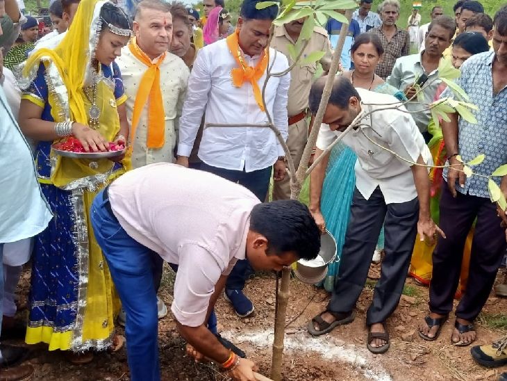Three lakh saplings will be planted on the occasion of Hariyali Teej ...