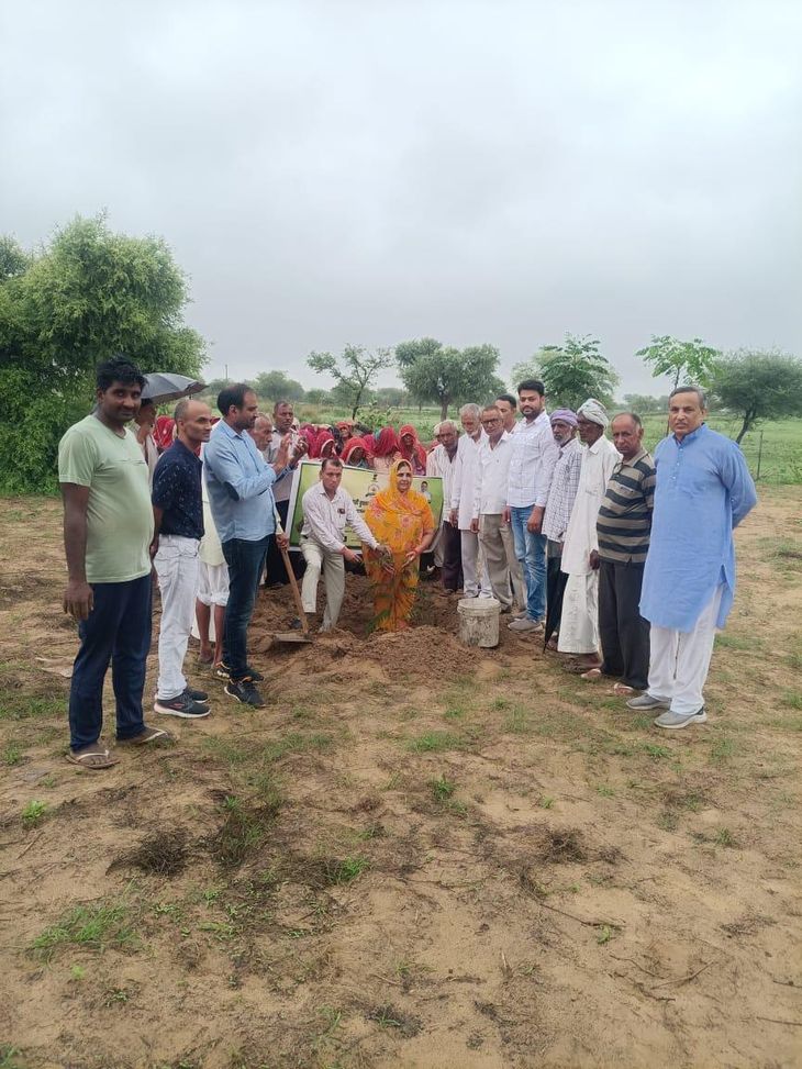 Tree plantation program on Hariyali Teej in Lamba village | लाम्बा गांव ...