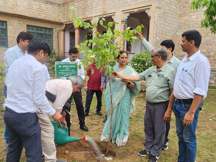 Rajasthan News, Green Rajasthan campaign started in Maharaja College ...