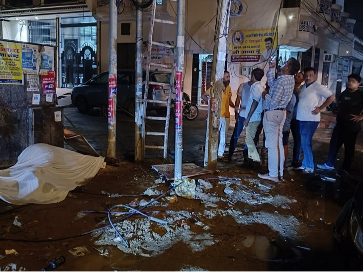 Haryana Rohtak DLF Colony 2 cows electric current bull died | रोहतक में ...
