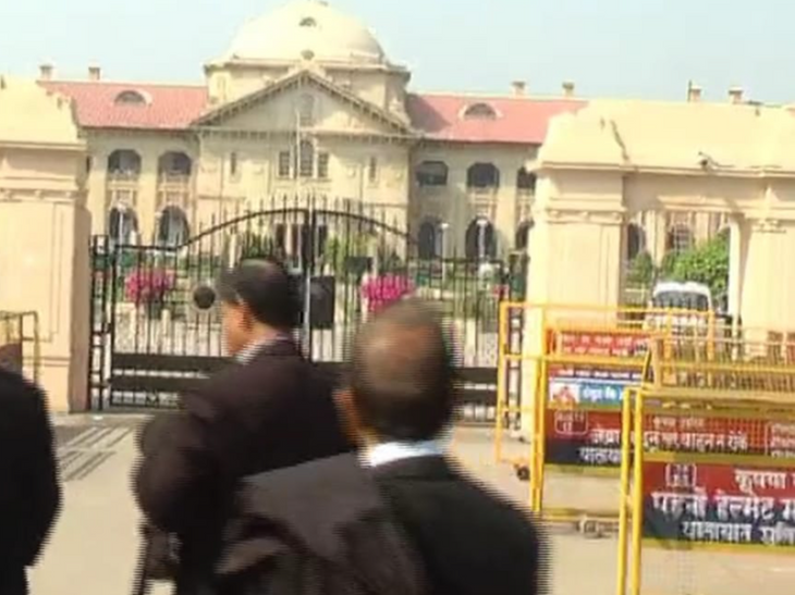 up, High court bans cutting of trees in Prayagraj | प्रयागराज में ...