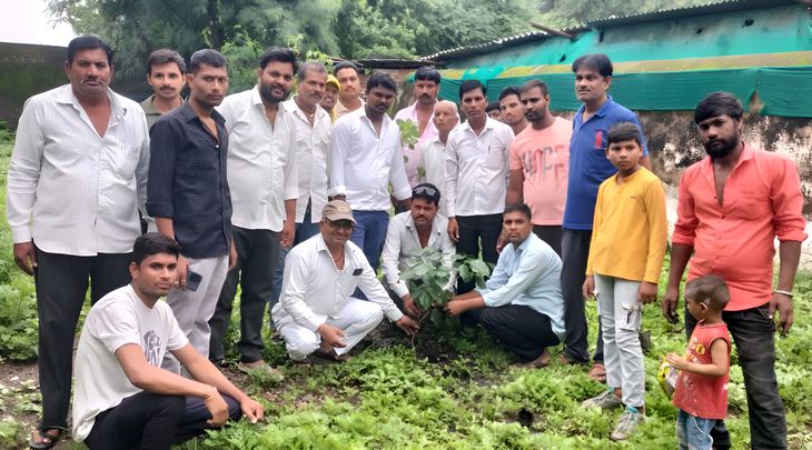 People planted saplings in Durga Mata Mandir Monastery | लोगों ने ...