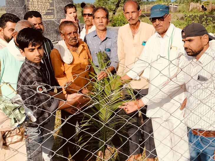 Tree plantation drive in Patan | पट्टन में वृक्षा रोपण अभियान ...