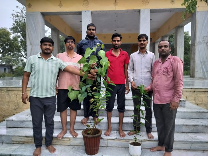 Youth planted trees in Kaladera | कालाडेरा में युवाओं ने पौधरोपण किया ...
