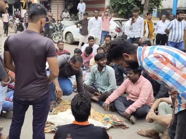 Uproar over the death of a calf in Susner | सुसनेर में बछड़े की मौत पर ...