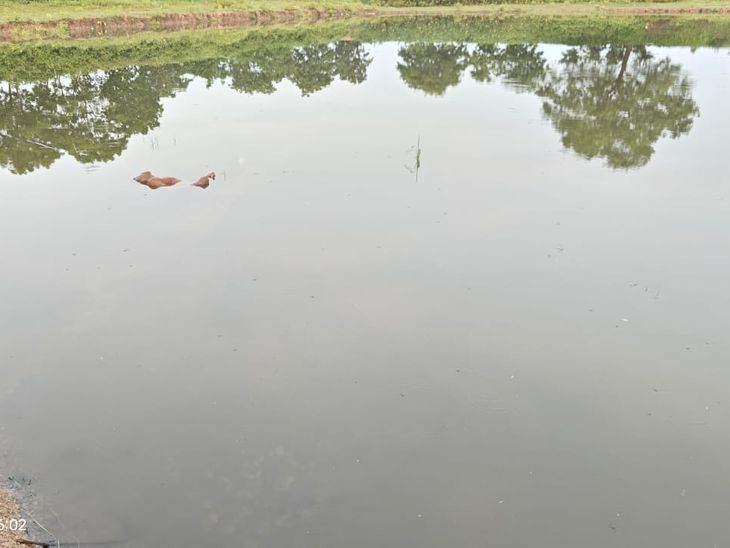 A young man drowned in a pond in Jaithari, died | जैतहरी में तालाब में ...