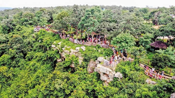 Forest division organized Tatamari festival on Krishna Janmashtami ...