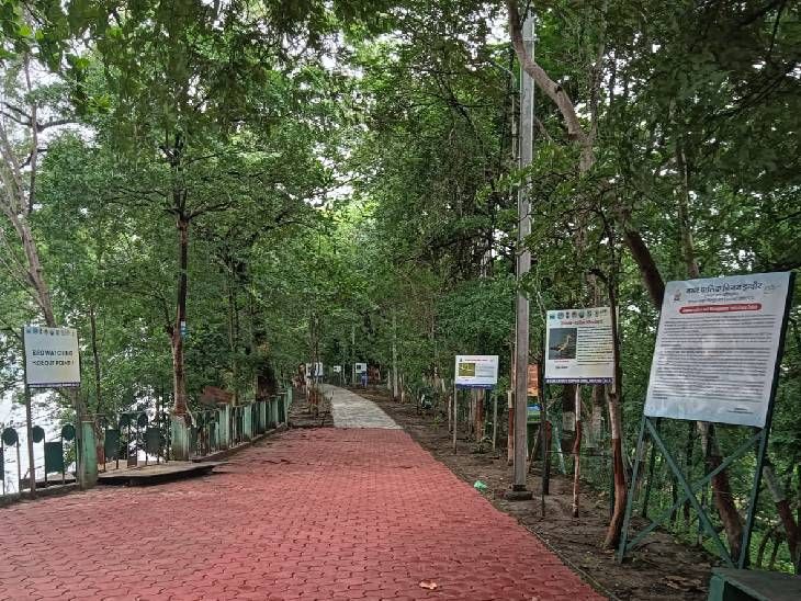 The weather will be clear in Indore today | इंदौर में दो दिन बाद एक्टिव ...