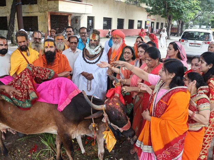 Organizing Shri Krishnashraya Bhagwat Seva Mandal | श्री कृष्णाश्रय भागवत सेवा मंडल का आयोजन ...