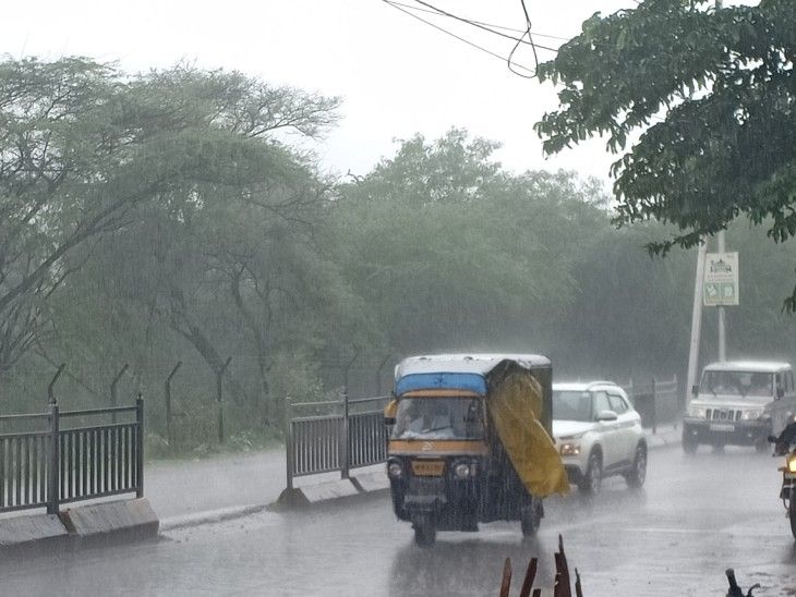 There will be a school holiday in Sagar tomorrow | सागर में कल रहेगी ...