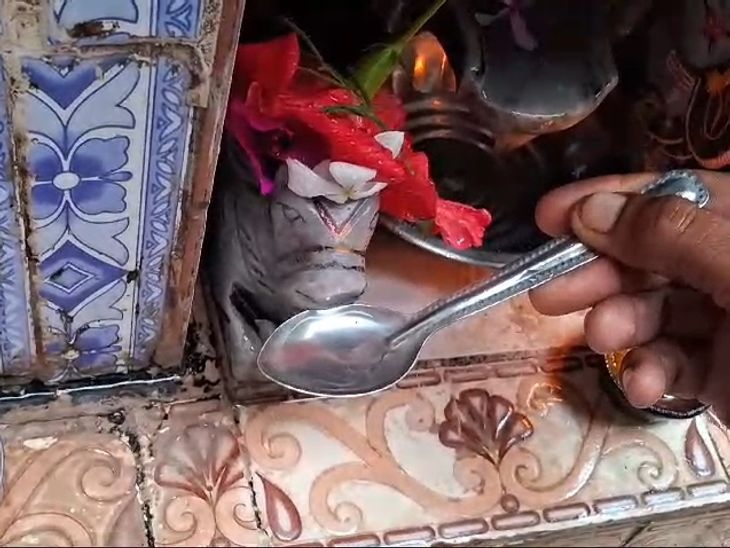 Devotees gathered in Mahoba to worship Nandi Baba | महोबा में नंदी बाबा ...