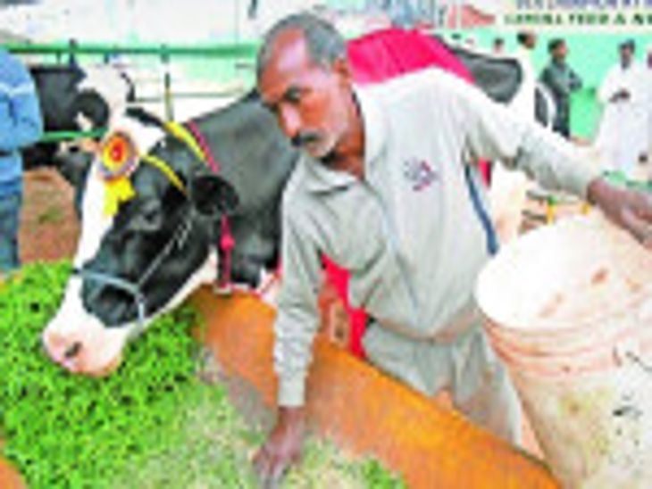 Animal breeders will get interest free loan up to 1 lakh | गोपाल ...