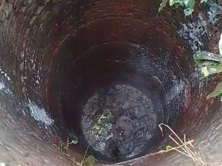 A young man who tried to save a goat that had fallen into a well died ...